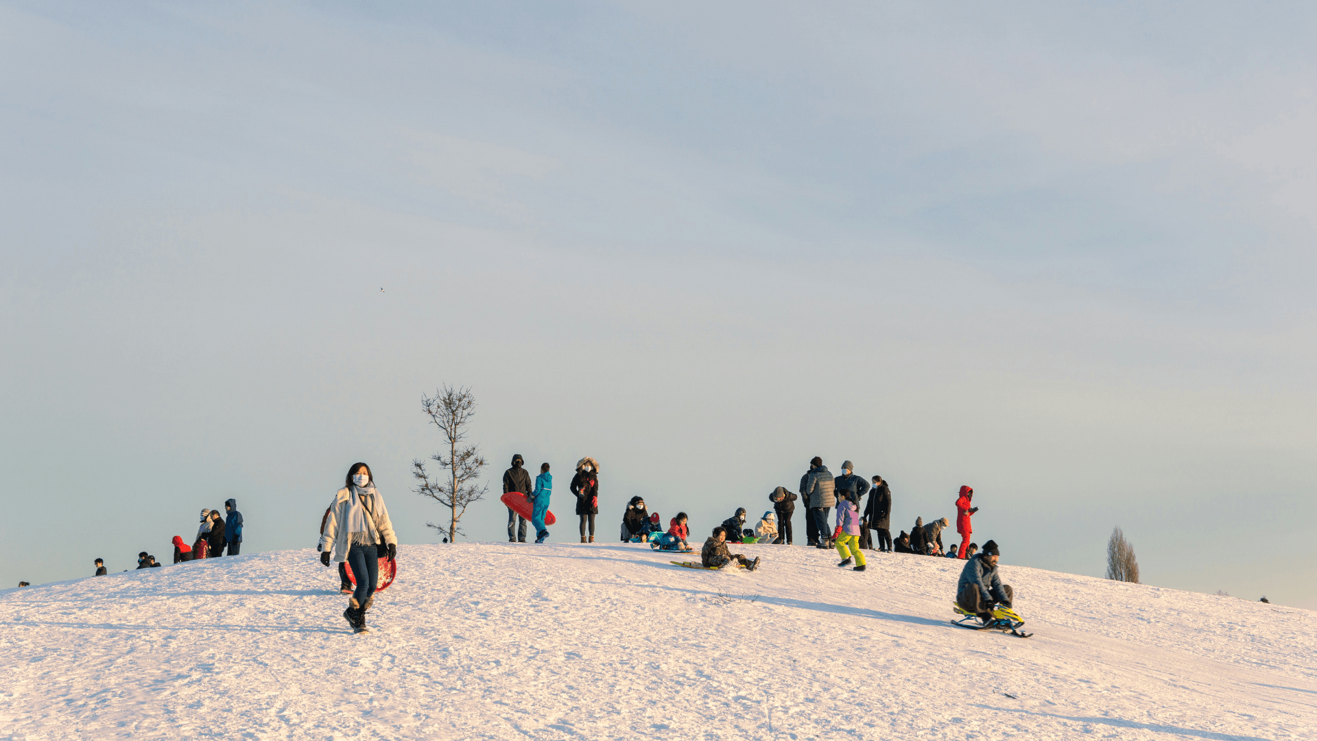 Snow Day Calculator - Will Tomorrow Be a Snow Day Predictor