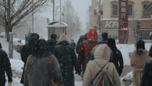 Snow Day Calculator - Will Tomorrow Be a Snow Day Predictor